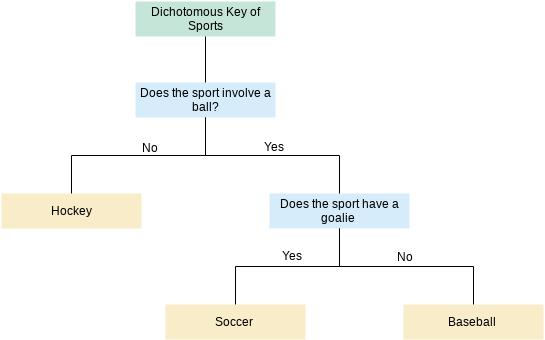 Dichotomous Key Template | Visual Paradigm Community